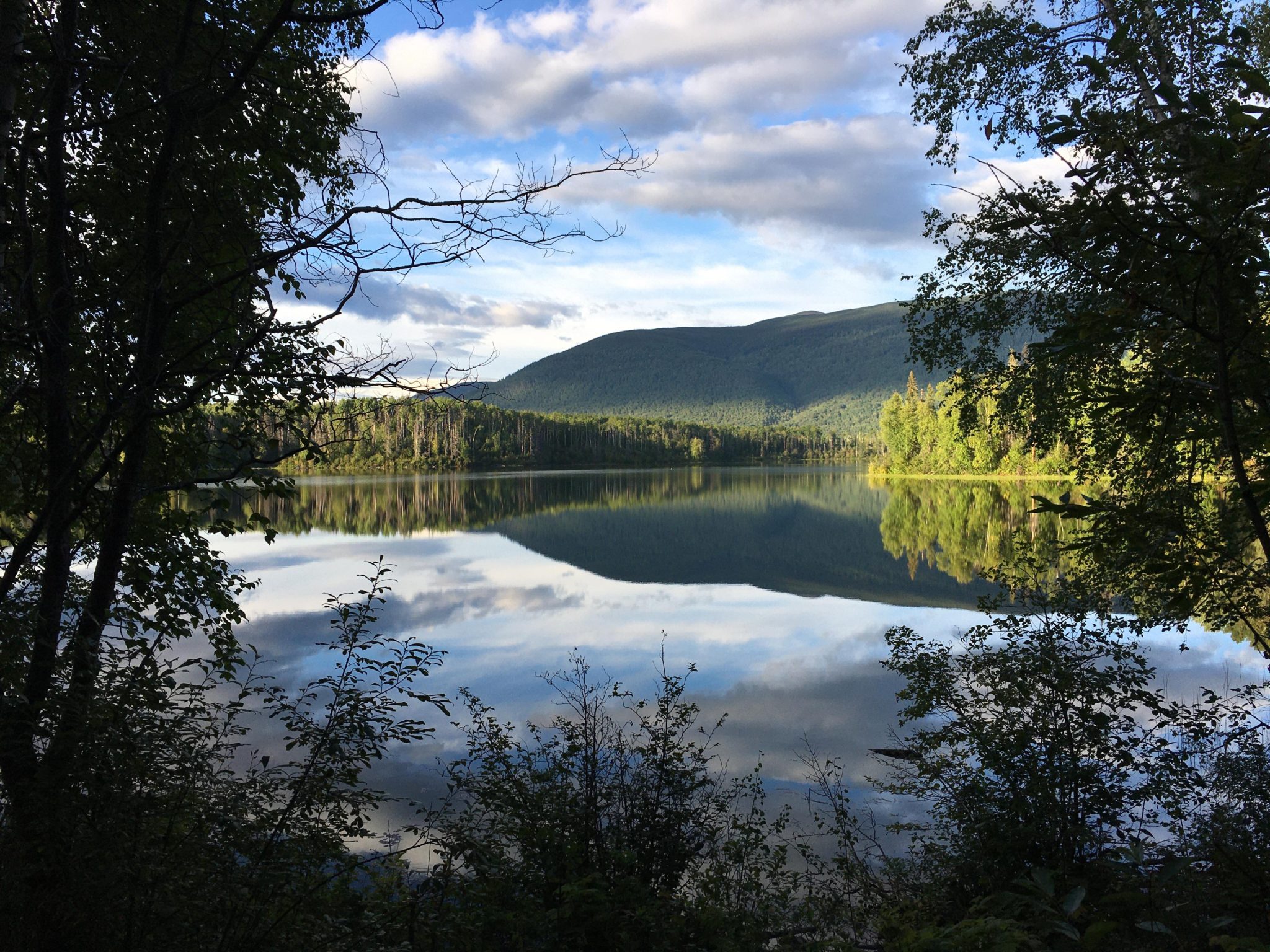 Business & Development - District of Mackenzie