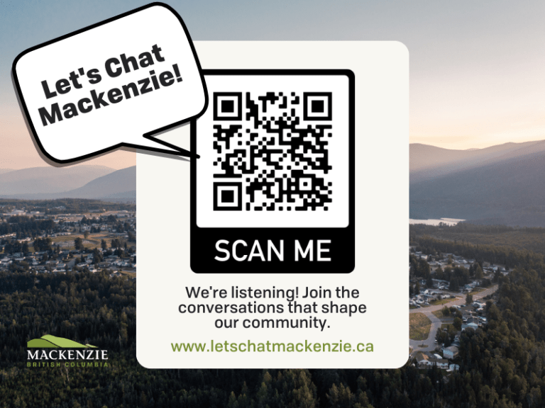 Downtown Vision and Action Plan - Ideas Fair - District of Mackenzie